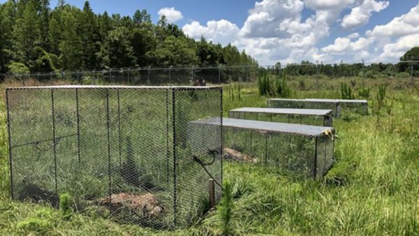 Entenda o que são e como funcionam as Body Farms | DarkBlog | DarkSide ...