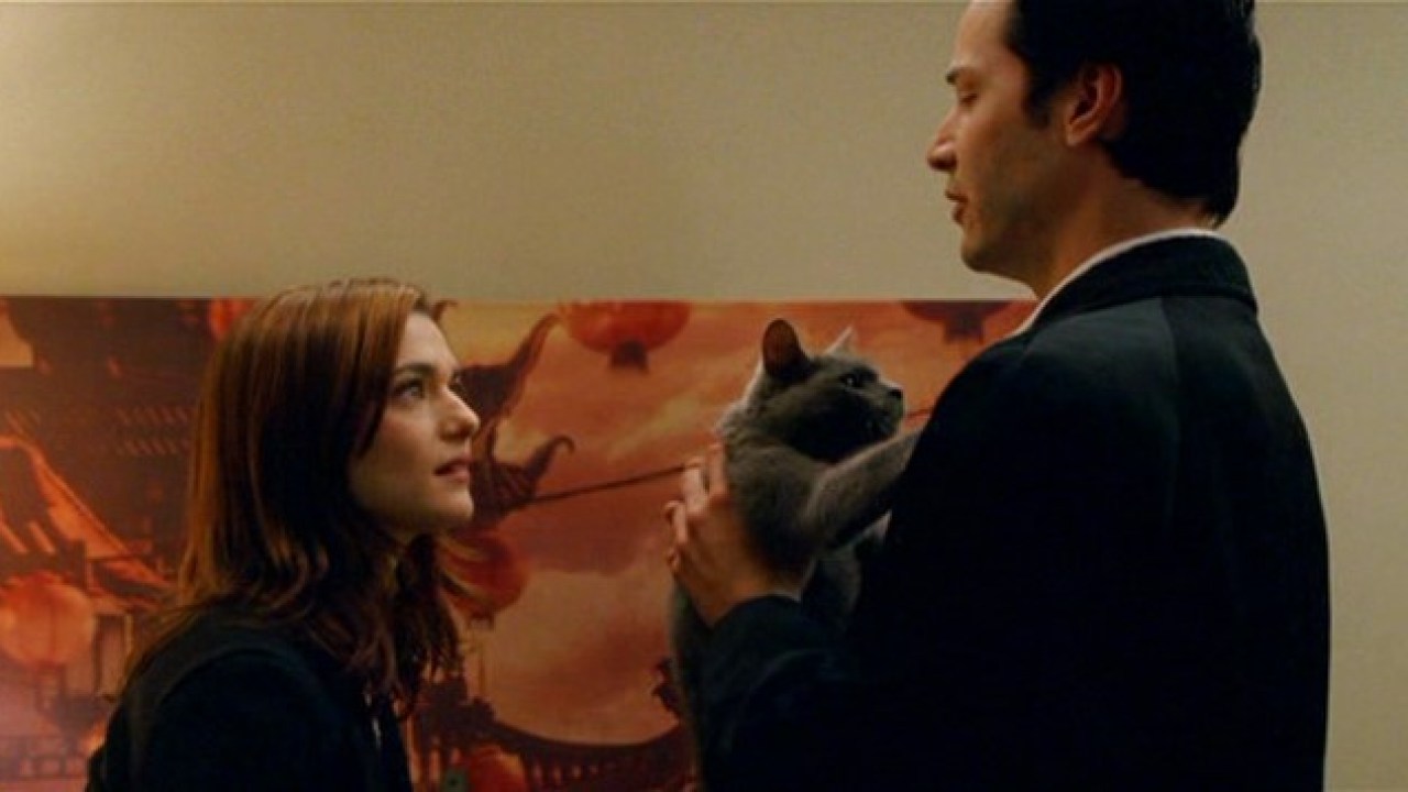 Conheça lendas relacionadas aos felinos + 5 gatinhos famosos - DarkBlog ...